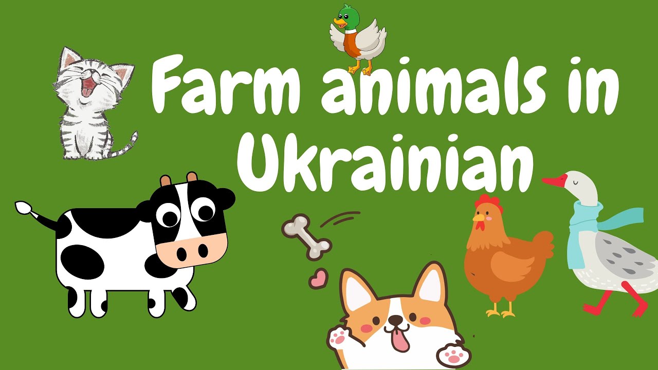 Farm Animals in Ukrainian - Lesson about Farm Animals - YouTube