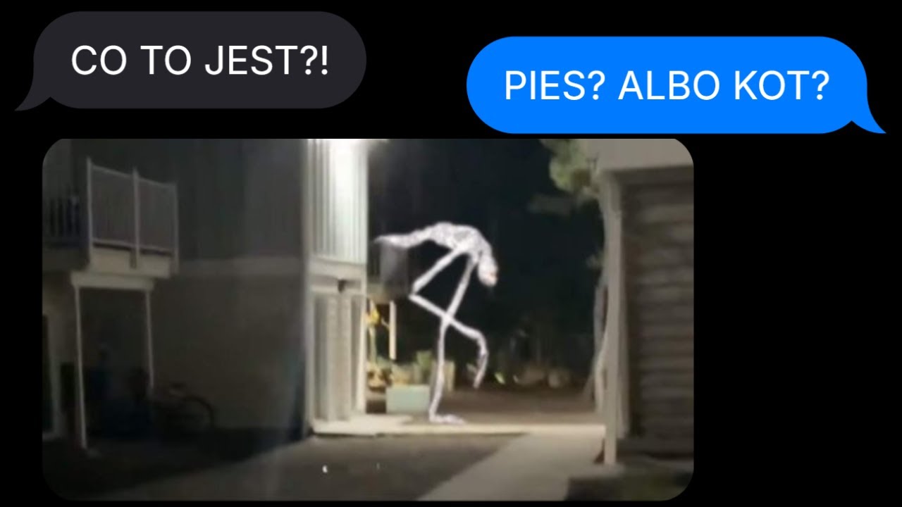 Dziwny PIES w Opuszczonej Fabryce (Anxious Dog) - YouTube