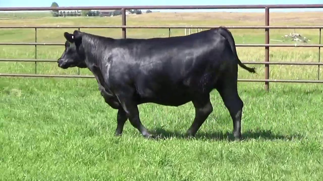 Riverbend Ranch Lot 17 - YouTube