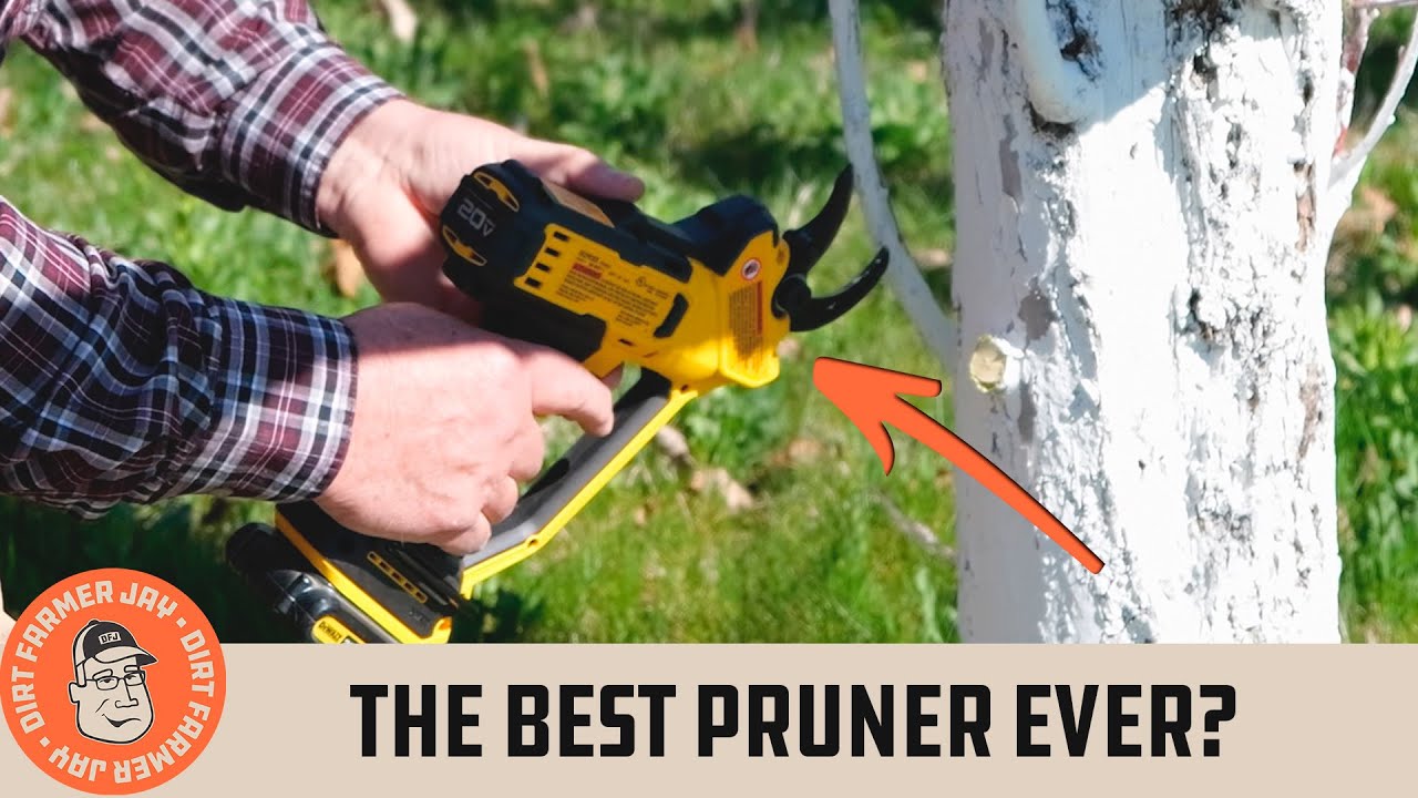 How Good is the DeWalt DCPR320 Cordless Pruner? - YouTube