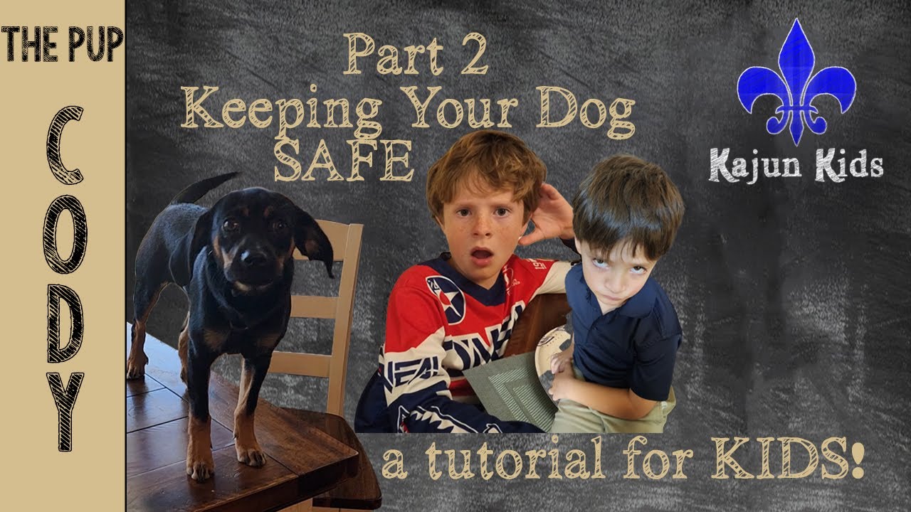 Part 2 GETTING A NEW PUPPY - A Guide for KIDS : Keeping Your Pup Safe ...