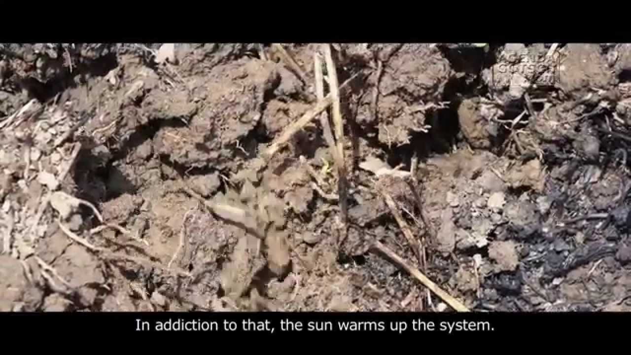 Preparo do solo - Preparing the soil - YouTube