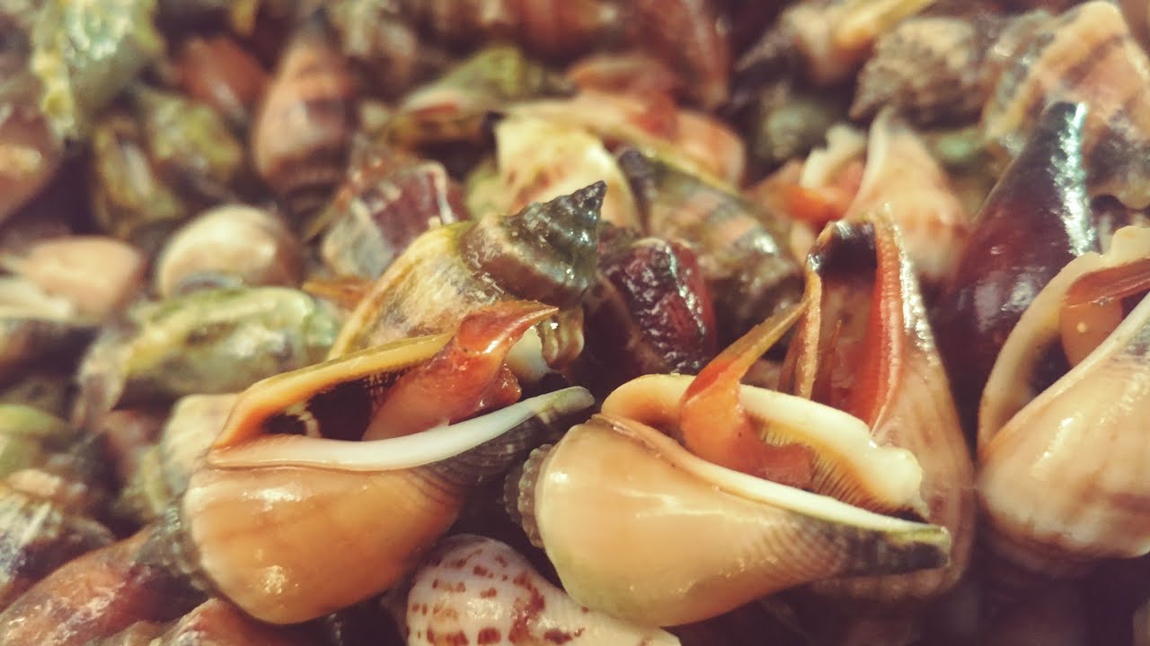 Ginataang Bulantak o sikad sikad - YouTube