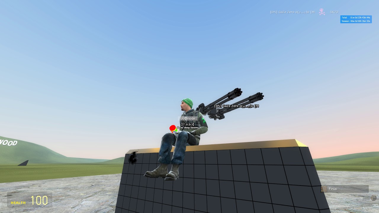 Garrys Mod Server Brillianttaia