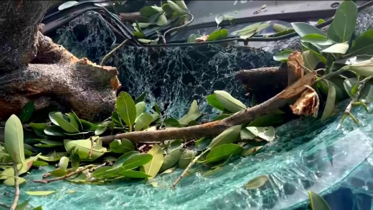 Heavy rain, gusty winds cause flash flooding. down trees - YouTube