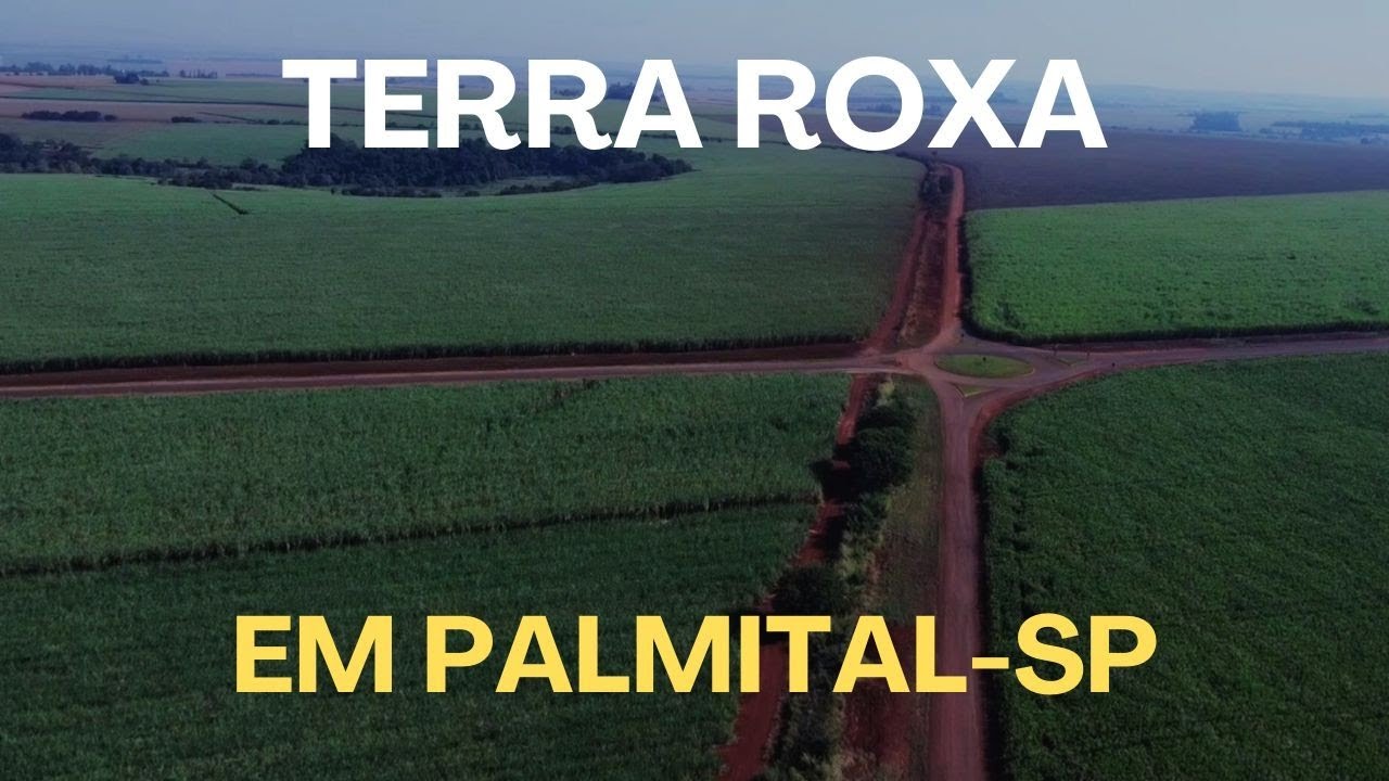 Terra Roxa em Palmital-SP / Imagens Aéreas - YouTube