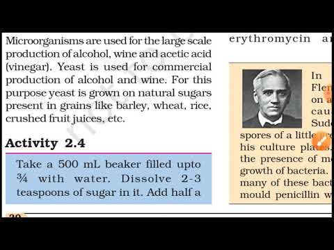Friendly microorganisms, chapter 2,class 8 - YouTube