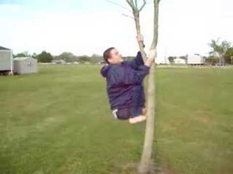 midget climbing a tree - YouTube