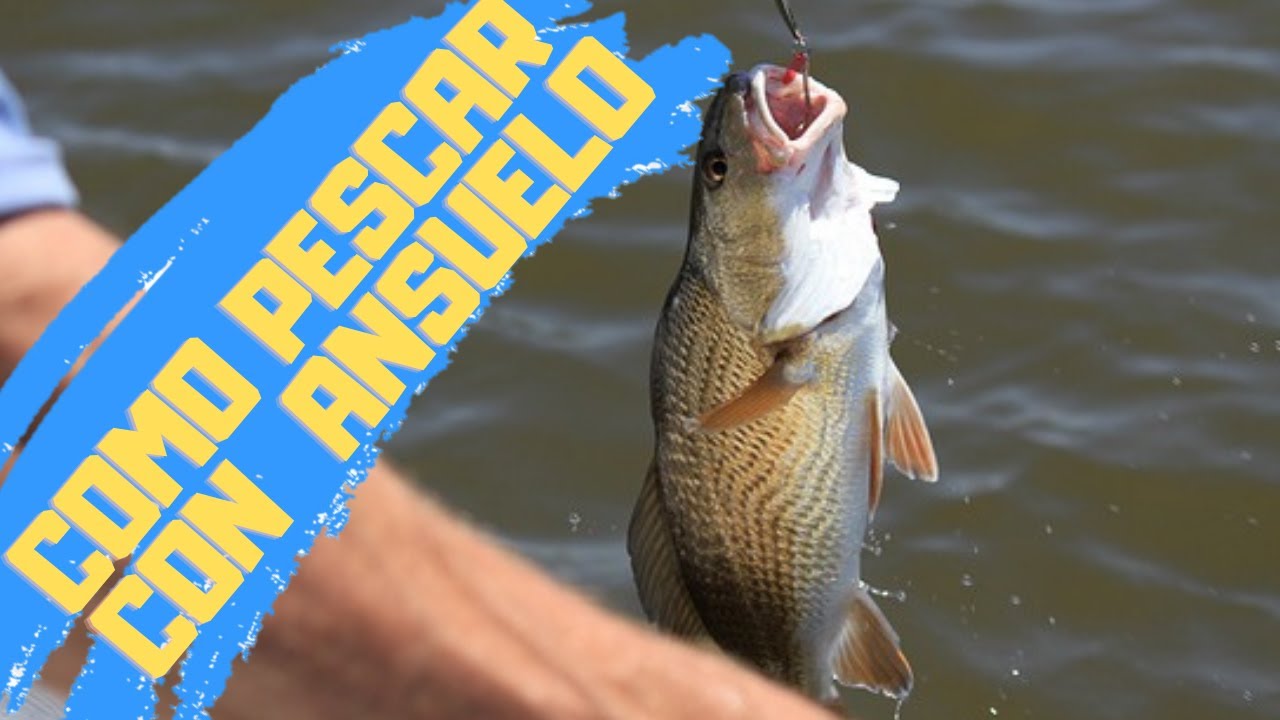 Como PESCAR con ANZUELO // TÉCNICAS de como PESCAR con anzuelo en río ...