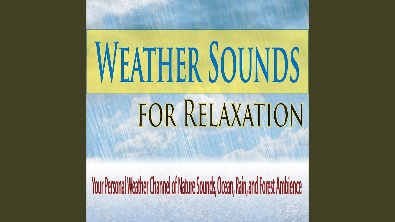Window Rain Sounds (Weather Channel Sounds) - YouTube Music