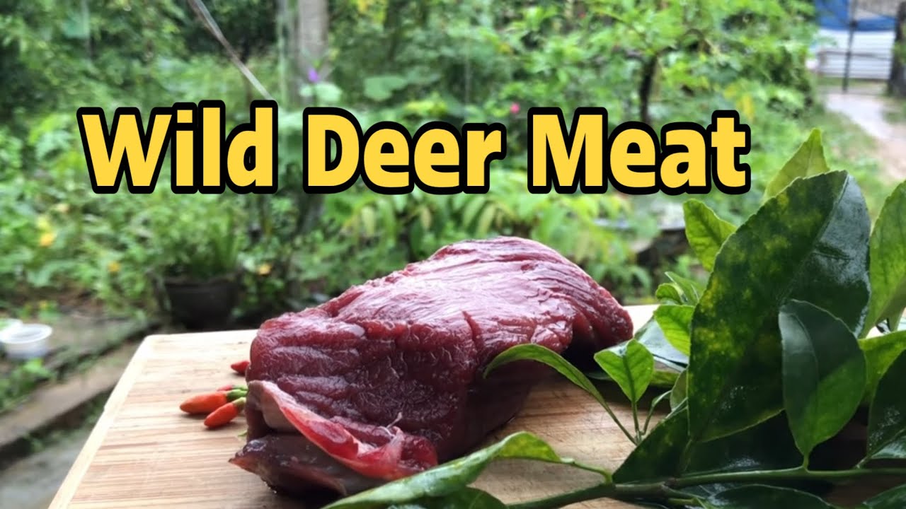 Wild Deer Meat With Lemon Leaves, Lemongrass, Hot Chili - YouTube