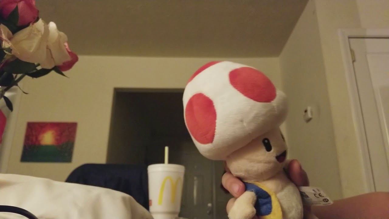 STK Movie: Toad dies - YouTube