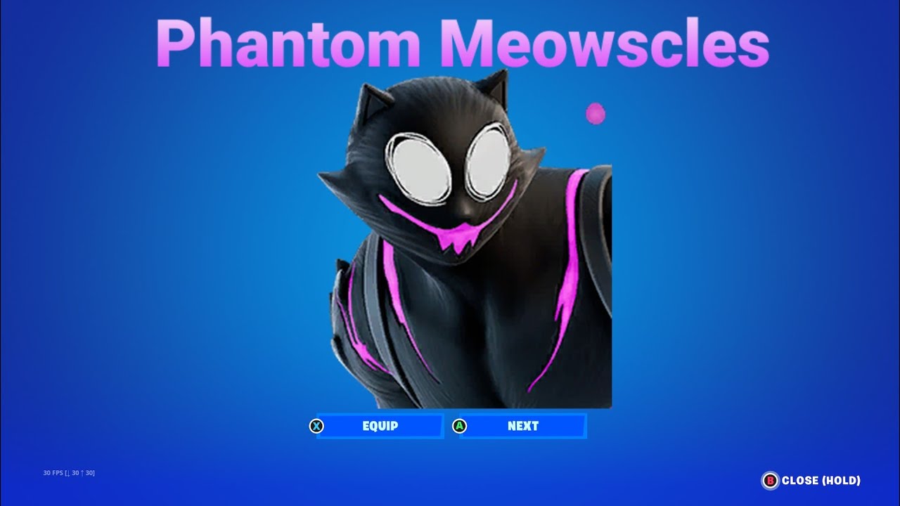 Phantom Meowscles Skin Combo | Fortnite - YouTube