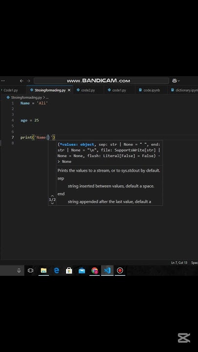 Basic String Formatting Using Format In Python Programming Coding