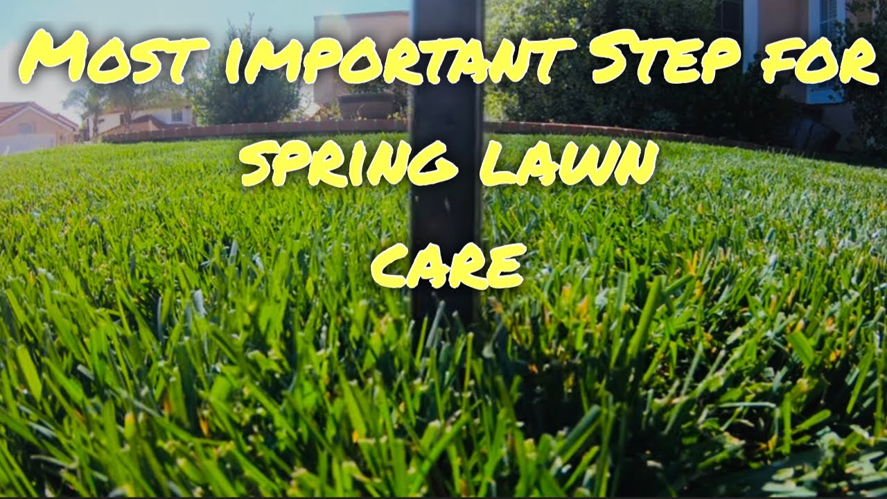 The Most Important Step for Spring Lawn Care - YouTube