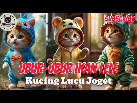 Kucing Joget Lagu UBUR-UBUR IKAN LELE, Gemoynya Keterlaluan! @MeongGoO7z