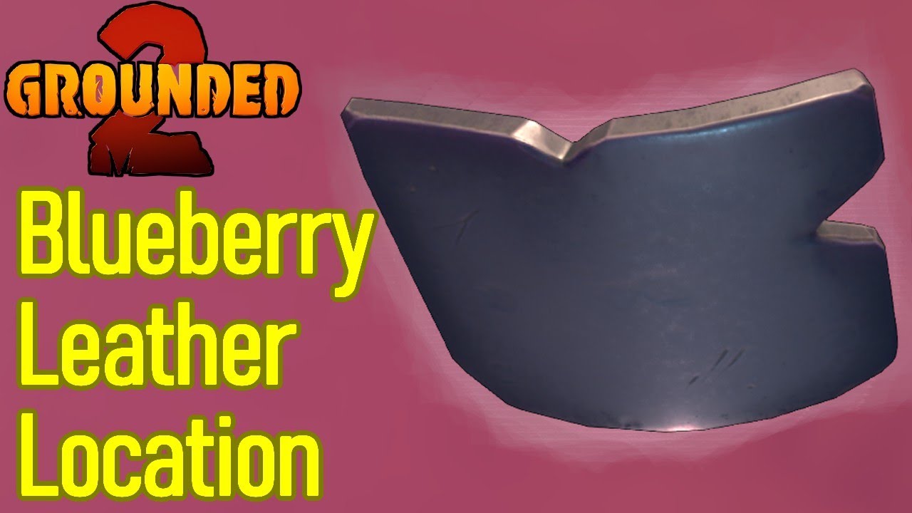 Grounded 2 Blueberry leather crafting guide, how to unlock and craft ...