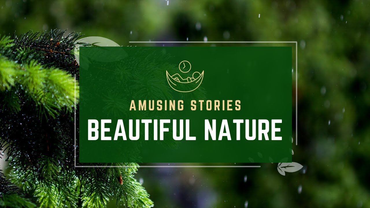 Amusing Stories | 10/50 | The Beautiful Nature! - YouTube