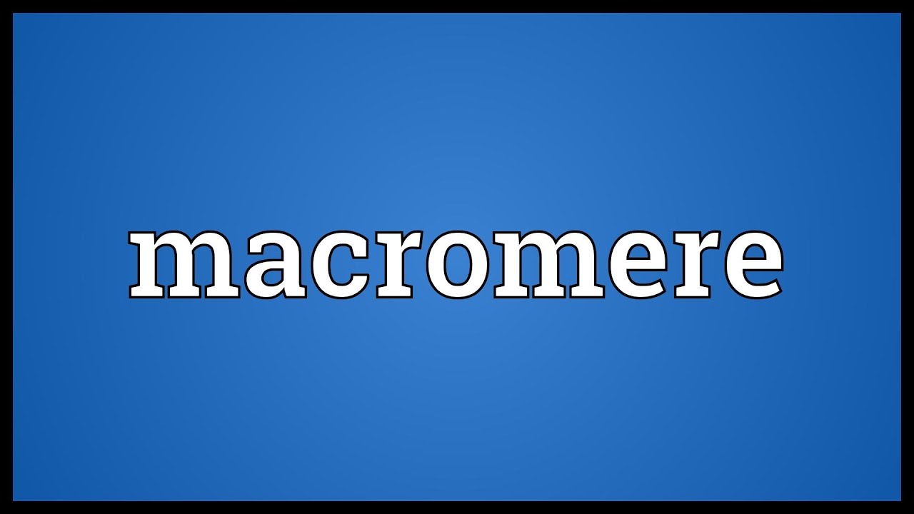 Macromere Meaning - YouTube