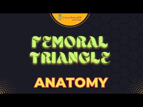 Femoral Triangle Anatomy | It's boundaries and contents | Complete ...