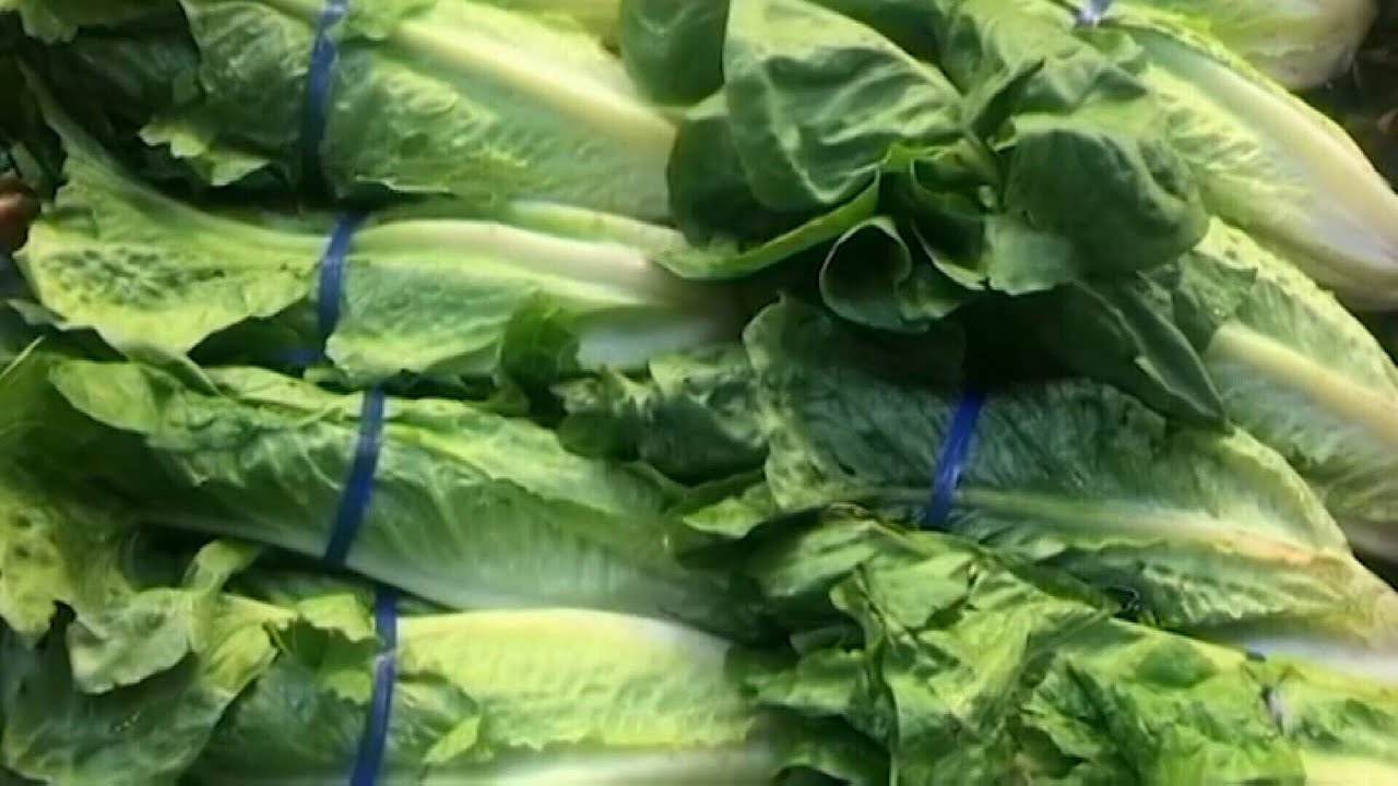 Costly greens: Why lettuce costs you more and when it will go back down ...