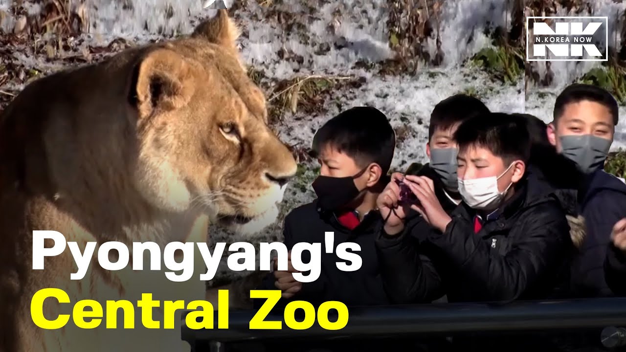 [Video] A day at North Korea’s Central Zoo - YouTube
