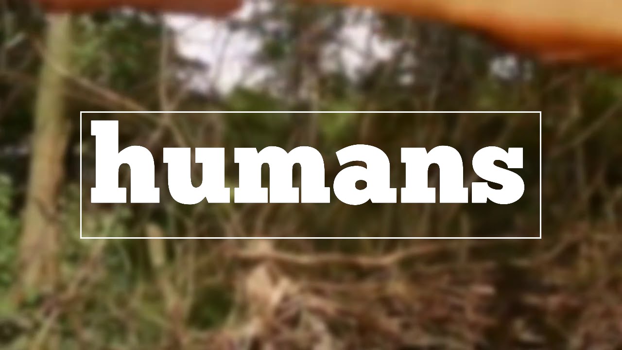 Learn how to spell humans - YouTube