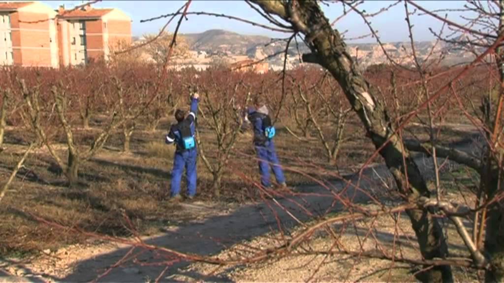 Σειρά ηλεκτρικών εργαλείων Campagnola - YouTube