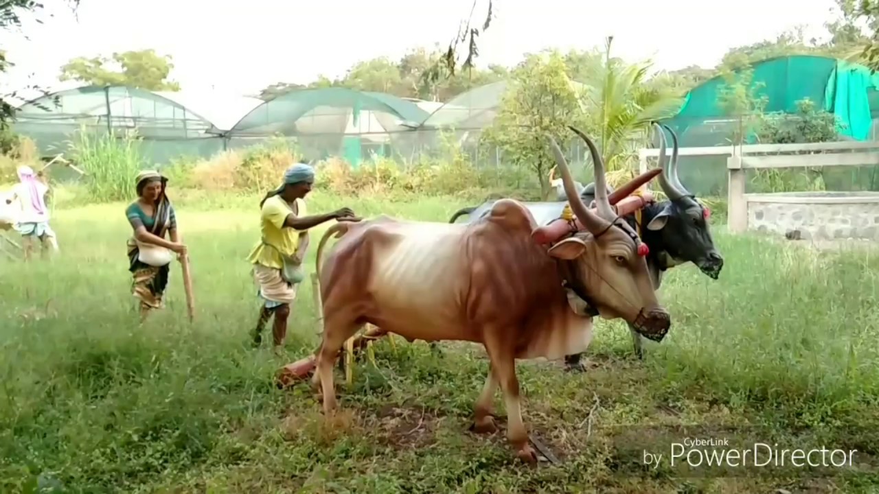 Kaneri Math - YouTube