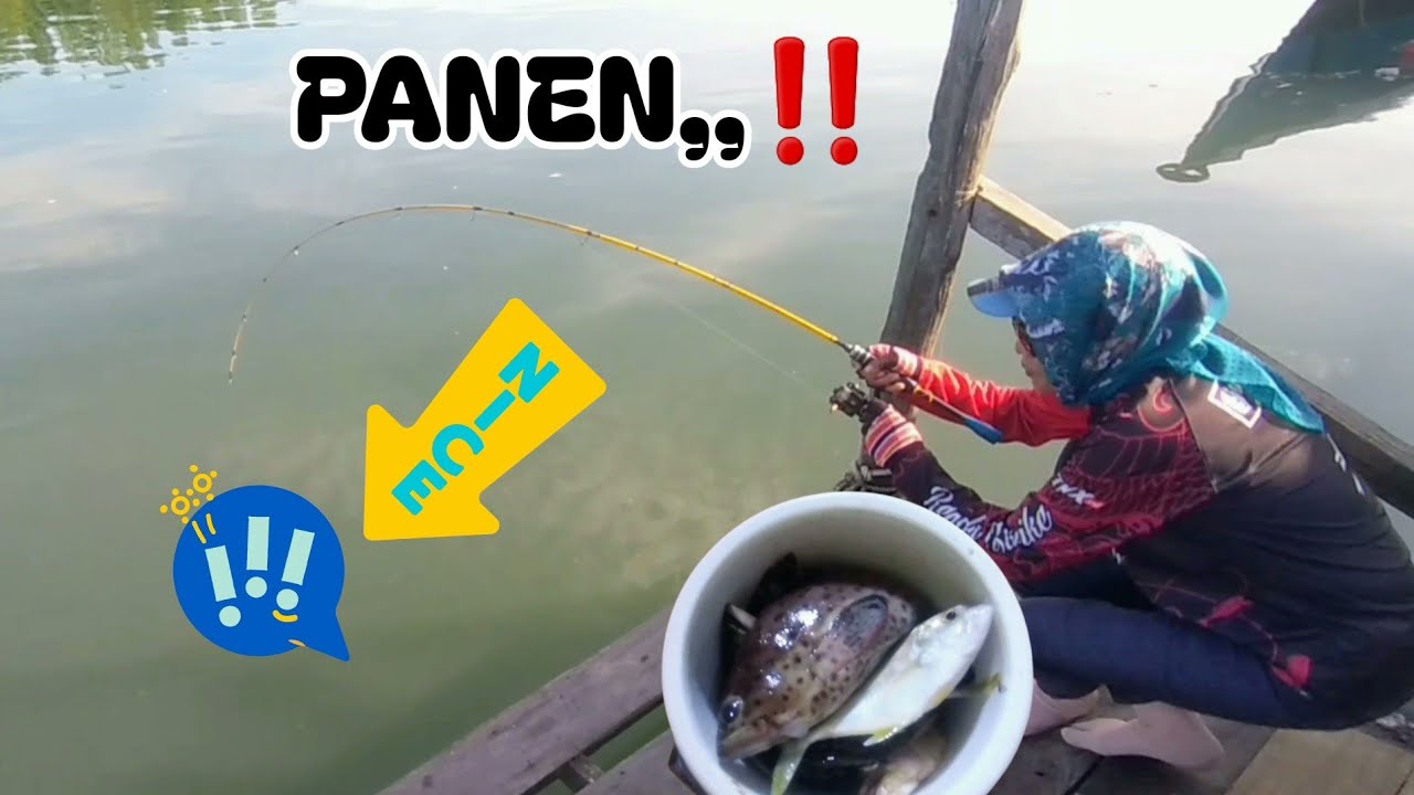 MANCING DI BELAKANG RUMAH DAPAT IKAN SATU TERMOS - YouTube