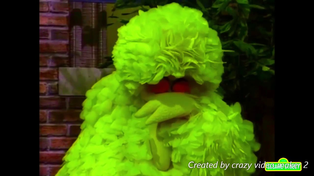Big Bird Sleeping Trim 1 - YouTube