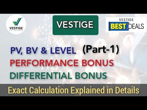 VESTIGE Performance Bonus. Vestige Income Calculation. PV BV and Level ...