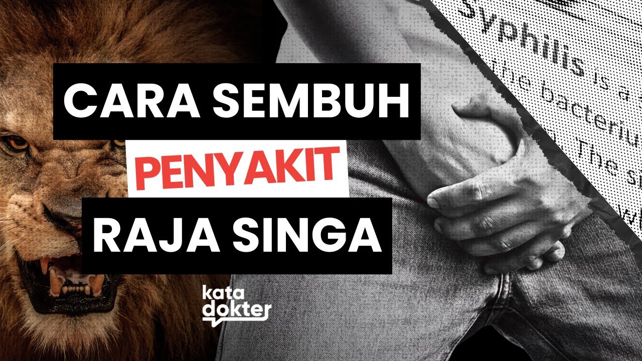 PENYEBAB SIFILIS ATAU RAJA SINGA DAN CARA MENGOBATINYA | SOLUSI ...
