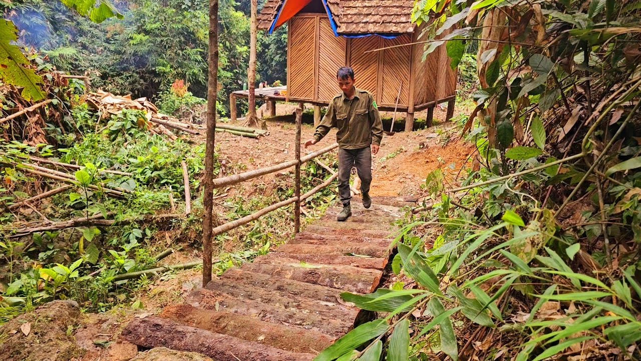 Building a Off-Grid Bridge to Build a Log Cabin for Survival in the ...