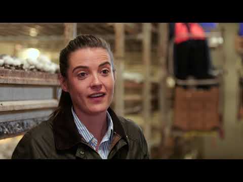 Georgia Beattie, Diggers Rest VIC: Bulla Park CEO - YouTube