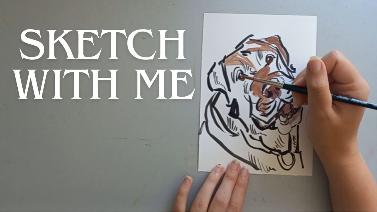 Animal Gesture Drawing #16 - Labrador Retriever part 1 (sketch with me ...