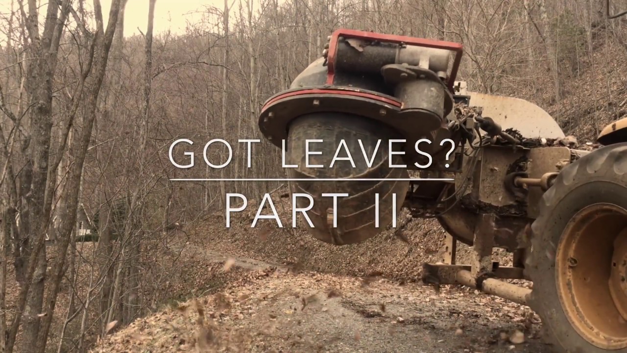 Got Leaves II - YouTube