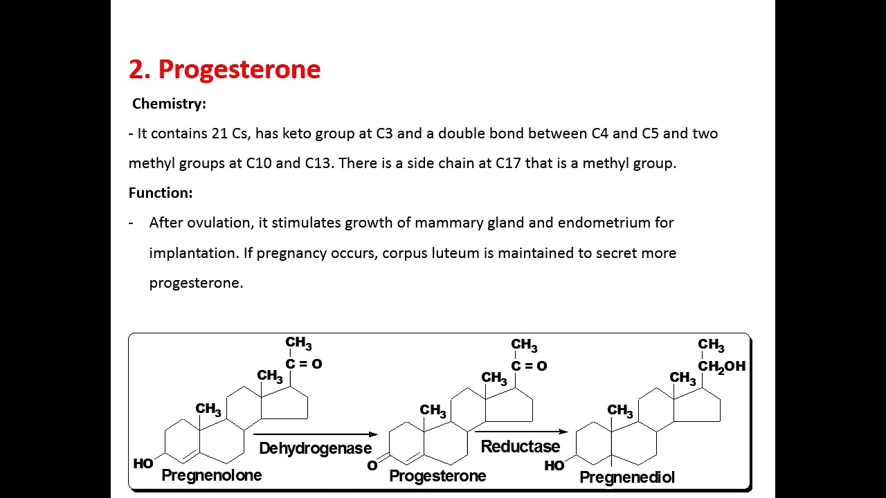 Female sex hormones- Dr. Shimaa Badawy - YouTube