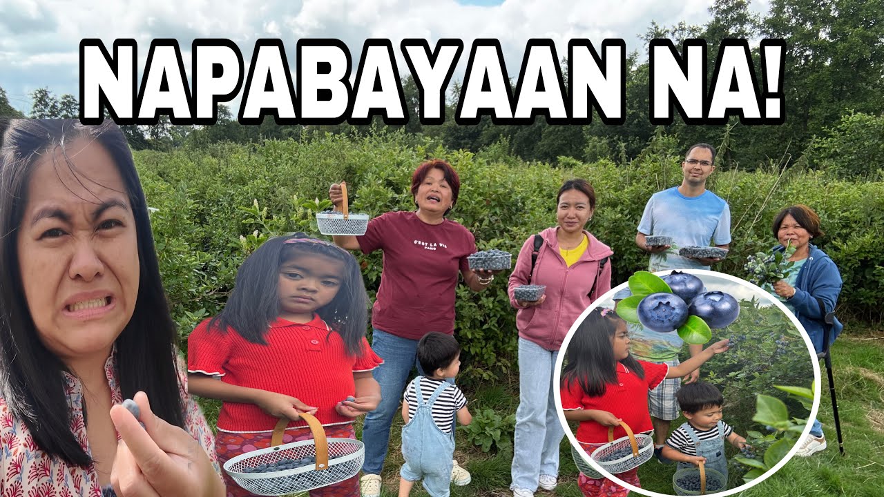NAPABAYAAN NA SIYA! NAG BLUEBERRY PICKING! - YouTube