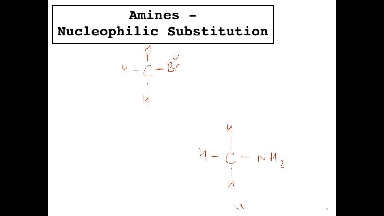 Amines - Nucleophilic Substitution - YouTube