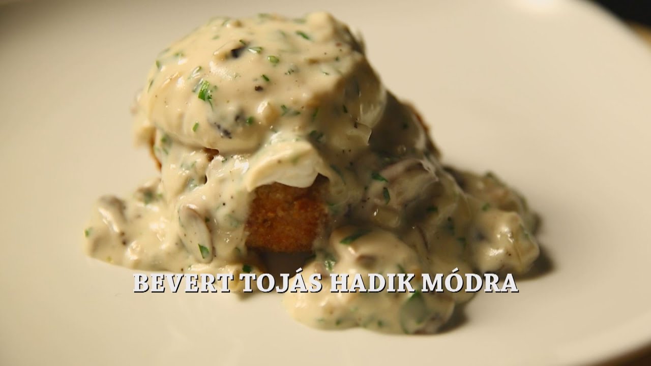 M5 TV – Gasztro percek – Bevert tojás Hadik módra – 2022/48. adás ...