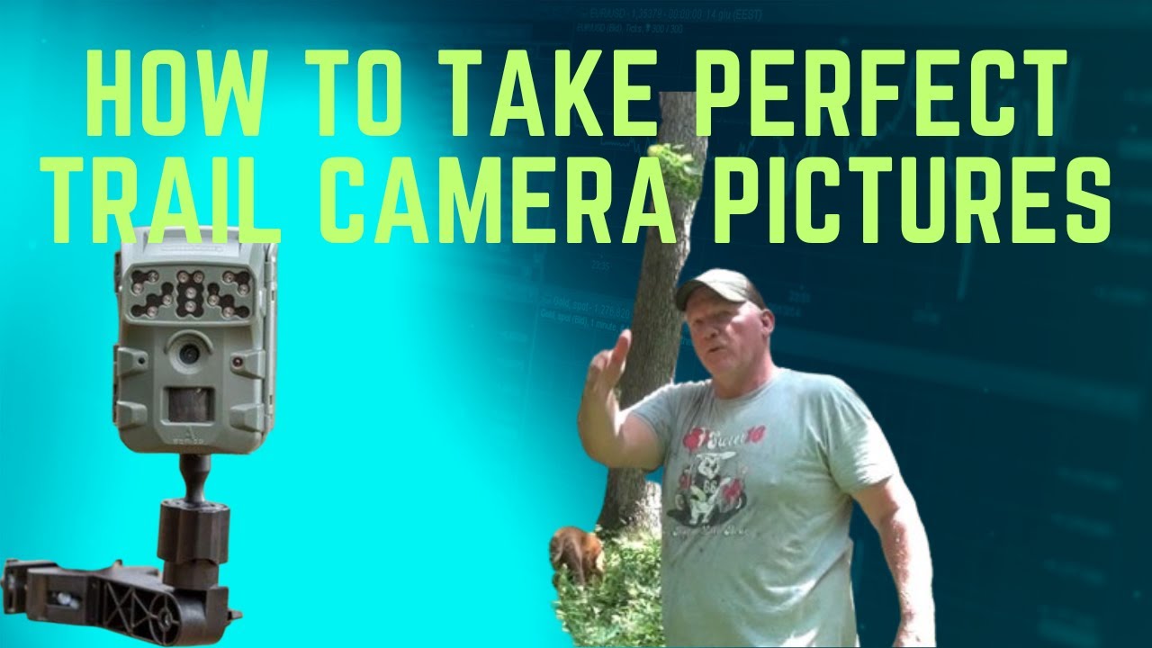How to Capture Perfect Trail Cameras Pictures Every Time - YouTube