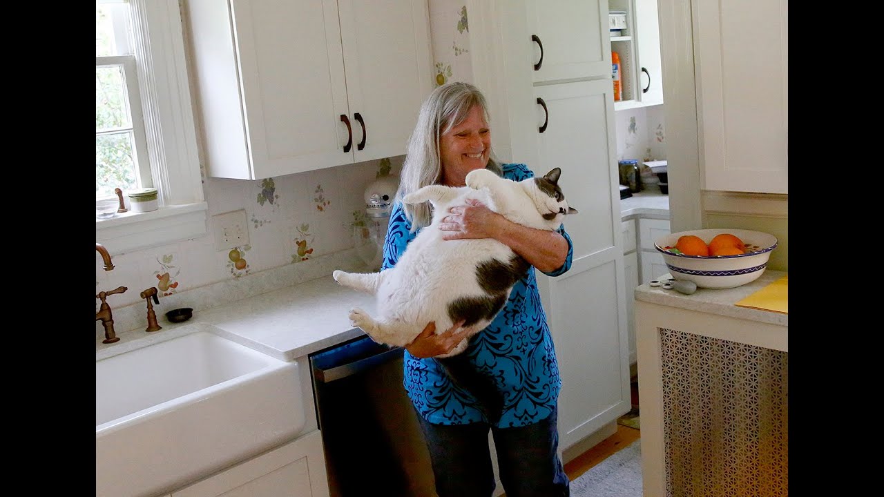 Kay Ford recently adopted Patches, a 40-pound cat, from Richmond Animal ...