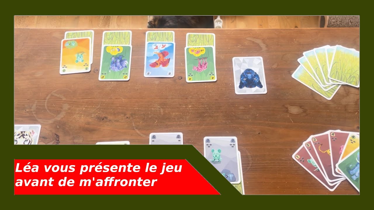 AWIMBAWÉ : Jeu de Plis dans la Savane - YouTube