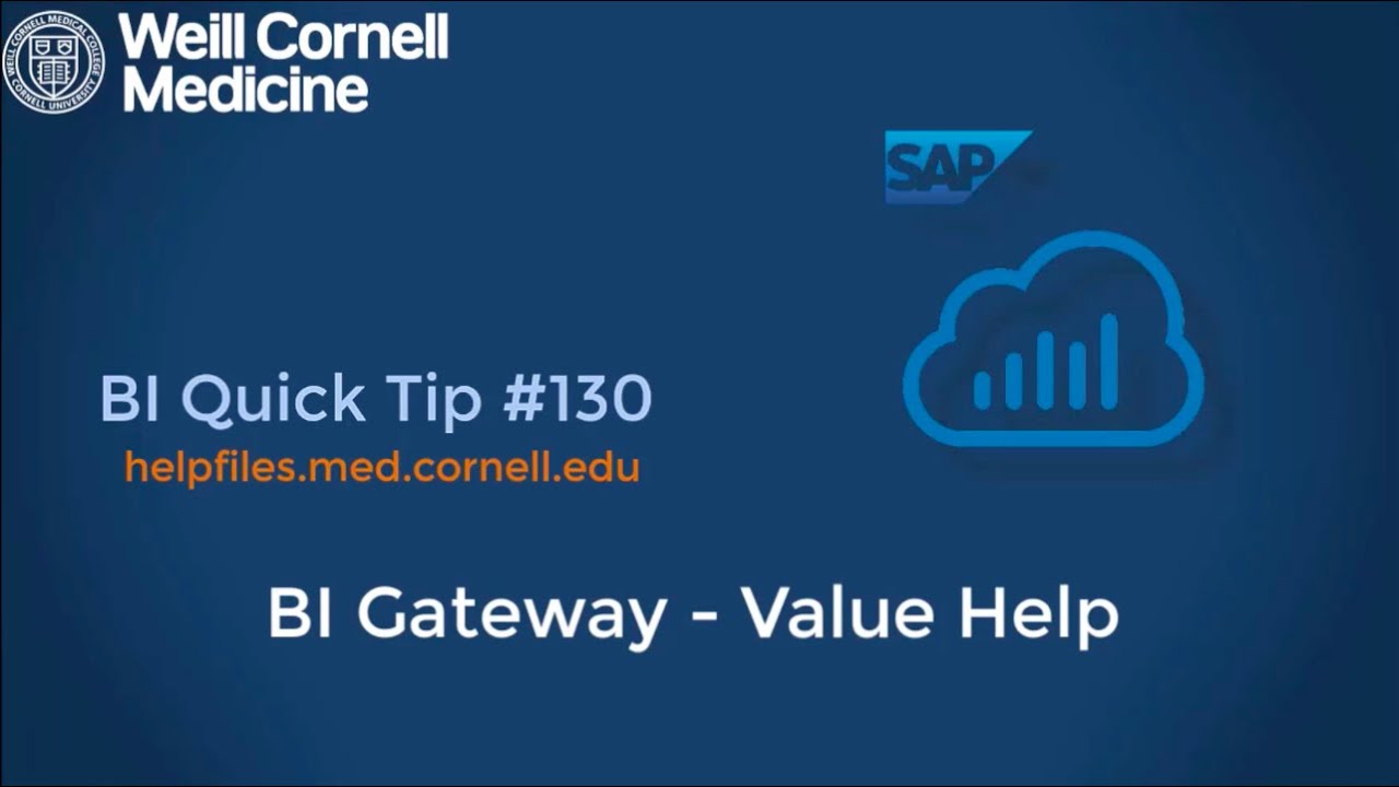 BI Quick Tip #130: How to use the Value Help button in the BI Gateway ...