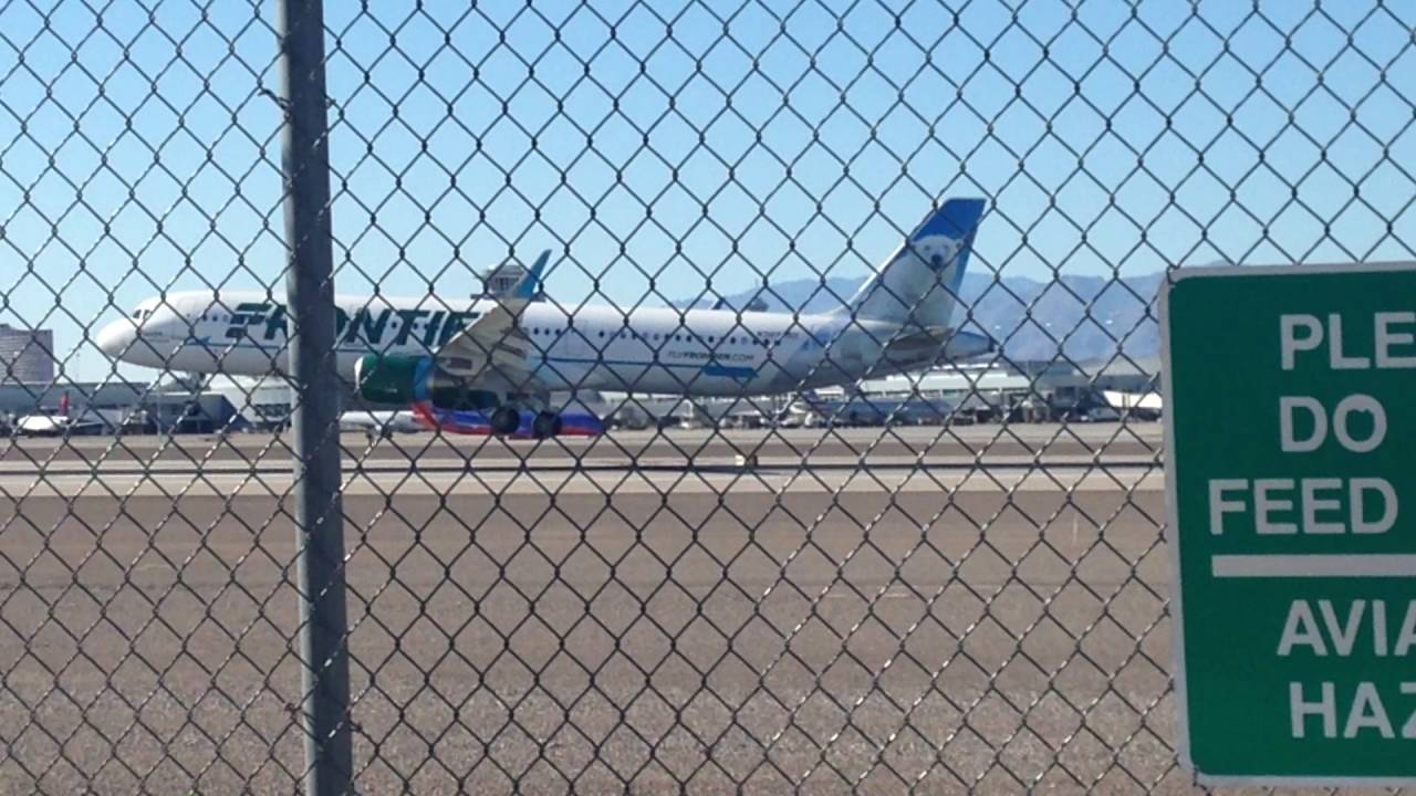 Frontier Airline's new Airbus A321 (N711FR) (Powder the Polar Bear ...