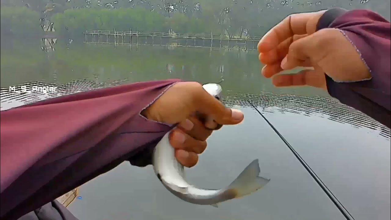 Mancing Belanak Waktu Musim Hujan Hasilnya Diluar Dugaan !!! - YouTube