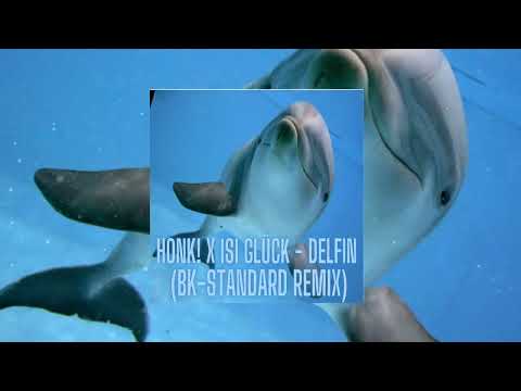HONK! x Isi Glück - Delfin (Bk-Standard Remix)