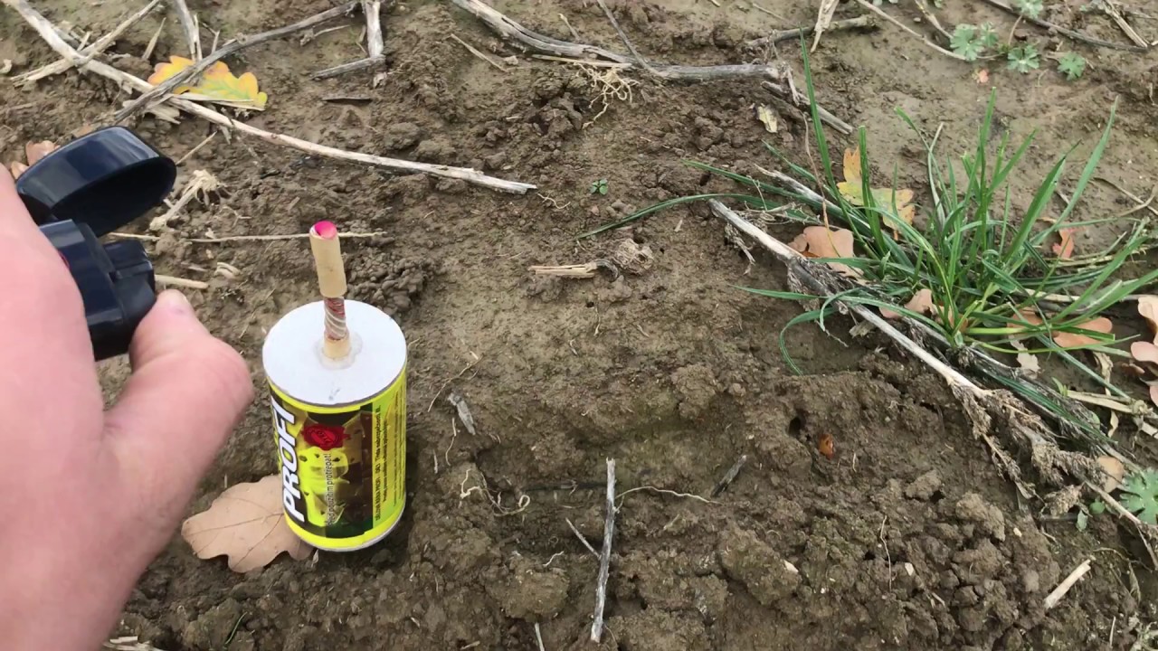 💲ODPAL: PROFI-DELOVÁ-RÁNA💲 - YouTube