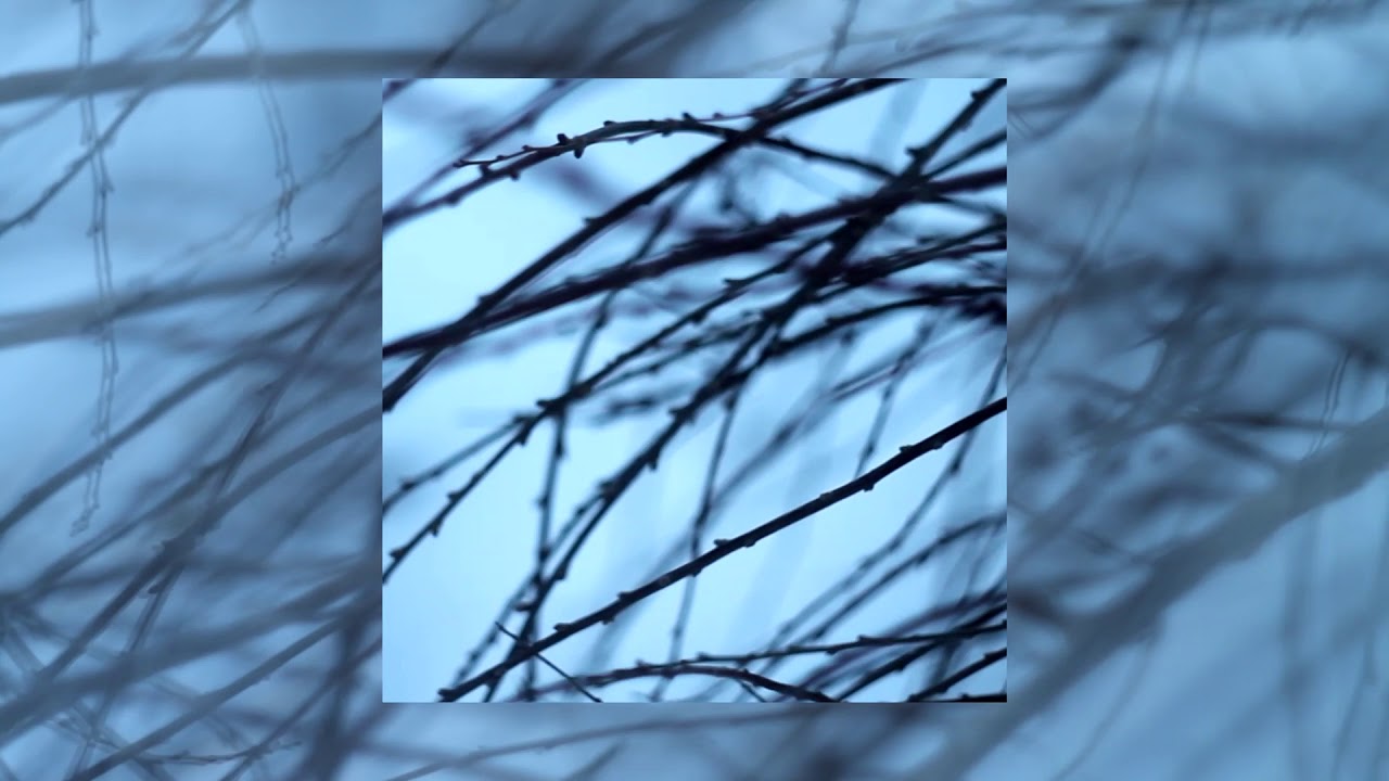 sonnov - Cijafi - YouTube